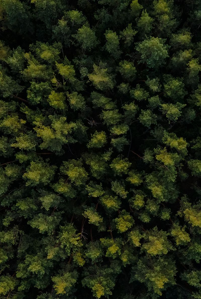 Organic | Deer Concrete | Grasdal, grasbetontegel, waterdoorlatende ...